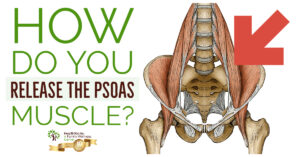 How Do You Release The Psoas Muscle?